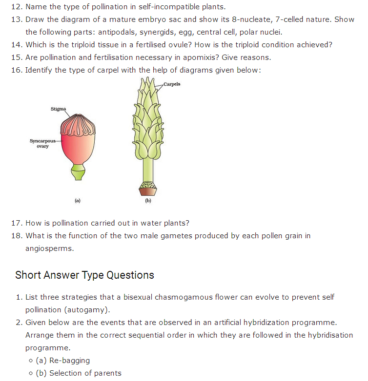 Important Questions For Class 12 Biology Sexual Reproduction In