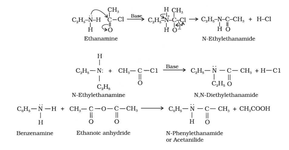 Chemical Reactions Of Amines | Acylation | Basicity | Chemistry | Byju's