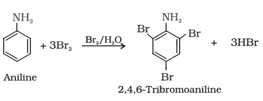 Amines - Electrophilic Substitution | Nucleophilic Substitution