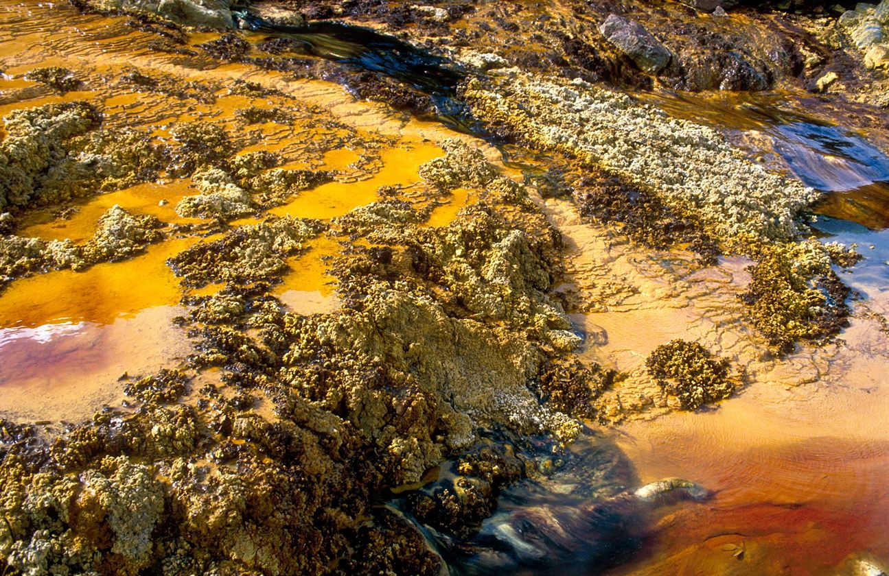 Soil Pollution Causes And Effects Of Soil Pollution On Environment