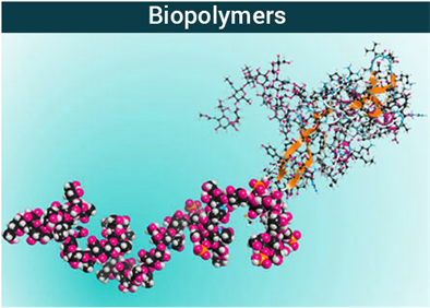 Biopolymers - Difference between Biopolymers & Synthetic Polymers