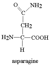 Asparagine: α-Amino Acid | Functions, Sources & Deficiency | Chemistry ...