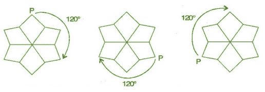NCERT Solutions Class 7 Maths Chapter 14 Symmetry - Click Here To Download