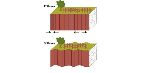 S Waves : Earthquakes waves, P waves, S waves & Surface waves @Byjus