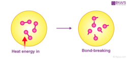 Bond Parameters - Bond Order, Angle, Length, and Energy