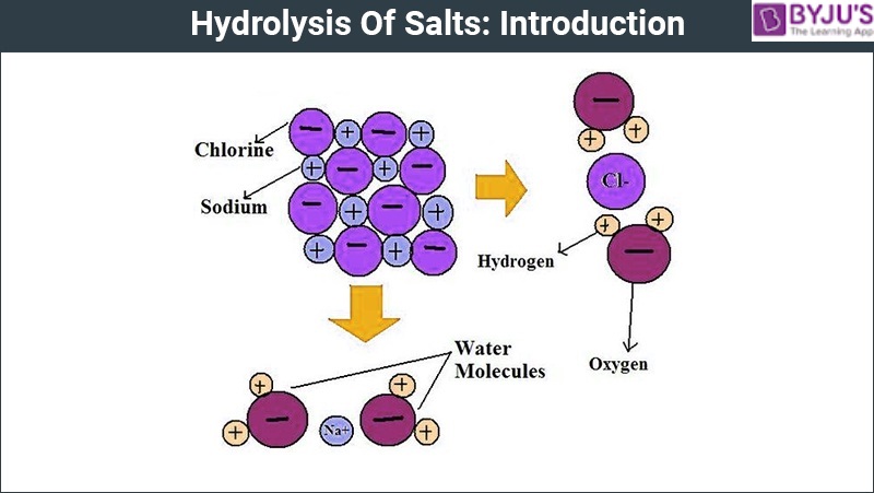 Hydrolysis Of Salts | Salt Hydrolysis Ionic Equilbrium Tips