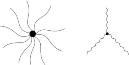 Copolymer - Definition, Types of Copolymerization, Examples