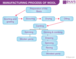 Wool - Extraction of Wool from Sheep & Uses of Wool with Images