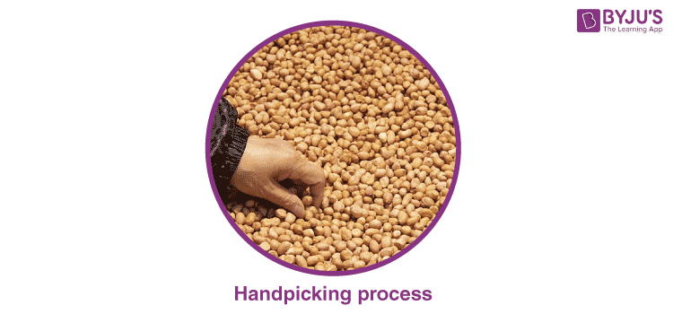 Handpicking Separation Technique | Various Method separation