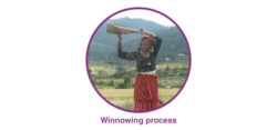 Introduction to Winnowing - Definition, Advantages, Disadvantages