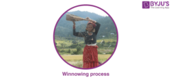 Introduction to Winnowing - Definition, Advantages, Disadvantages