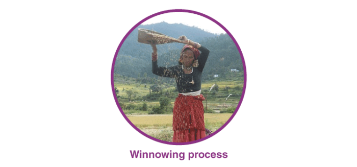 Introduction to Winnowing - Definition, Advantages, Disadvantages