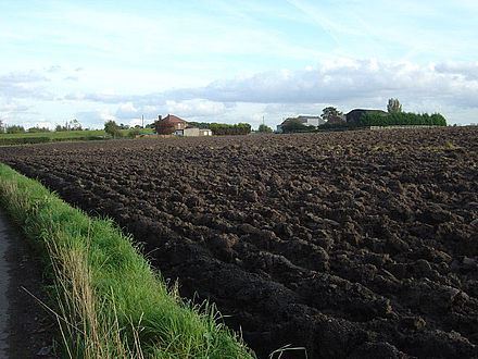 Types Of Soil - Sandy Soil, Clay Soil, Silt Soil, And Loamy Soil