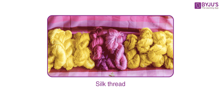 Sericulture: Rearing of Silkworm |Silk from Cocoons|Chemistry| Byjus