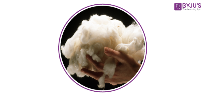 Wool: An Introduction | physical and chemical properties CBSE