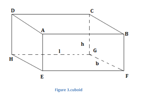 Cube & Cuboid - Shape, Total Surface Area & Lateral Surface Area