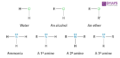 Classification & Nomenclature Of Amines | Preparation Of Amines