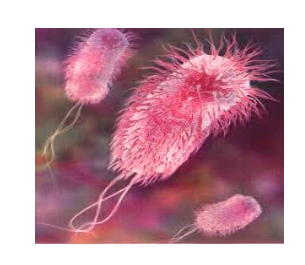 Food Poisoning Causes, Symptoms, and Prevention @ BYJU'S