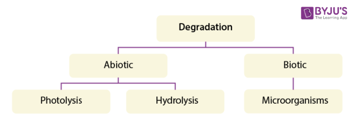 Environmental Toxicology- Biotic & Abiotic Degradation | BYJU'S