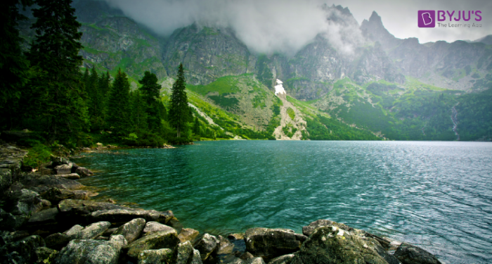 Forest Conservation - Conservation of Forests [Reforestation]