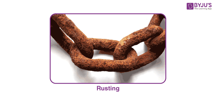 Chemical Reaction in Everyday Life| Photosynthesis | Rusting | Combustion