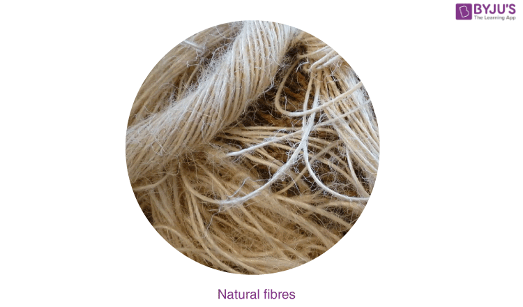 Synthetic and Natural Fibres - Definition, Examples, Types, Advantage ...