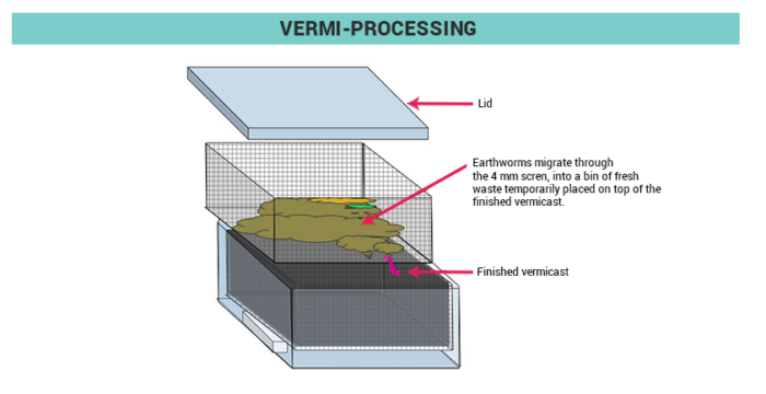 Sewage Management Methods | Septic System | Vermi-processing