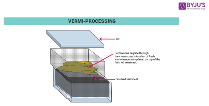 Sewage Management Methods | Septic System | Vermi-processing