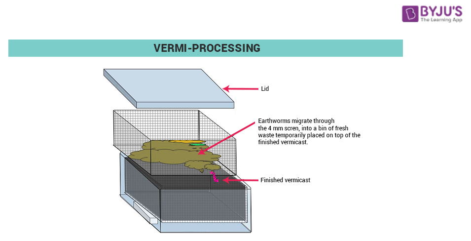Sewage Management Methods | Septic System | Vermi-processing
