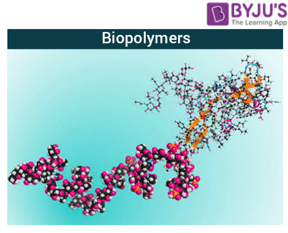 Biopolymers - Definition, Types, Examples & Applications of Biopolymers