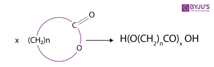 Lactone-Synthesis and Reaction-Examples and Uses | Chemistry
