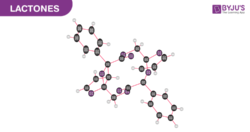 Lactone-Synthesis and Reaction-Examples and Uses | Chemistry