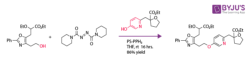 Mitsunobu Reaction - Reaction Mechanism, Synthesis of Aryl Ethers