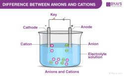 Cations and Anions - Difference Between Anions and Cations with Examples