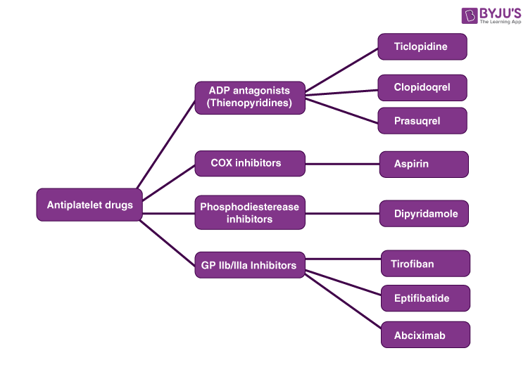 Classification Of Drugs Classifications Types Of Classifications