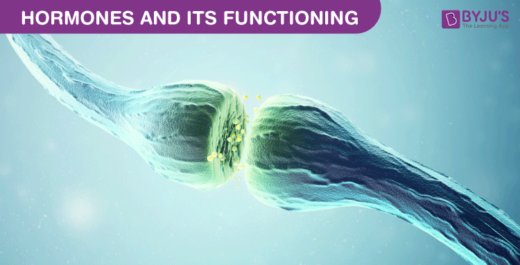 Elementary Idea On Hormones | How Does A Hormone Function ?| Chemistry ...