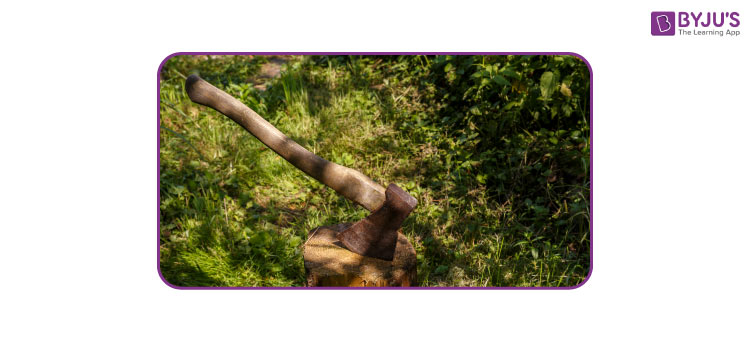 What is Reforestation? Importance of Reforestation | BYJU'S