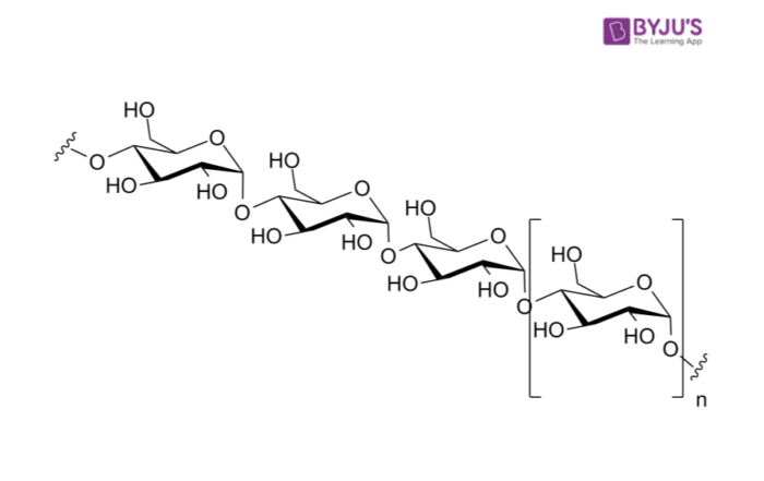 Complex carbohydrates - Definition, Examples, Food lists, videos and ...