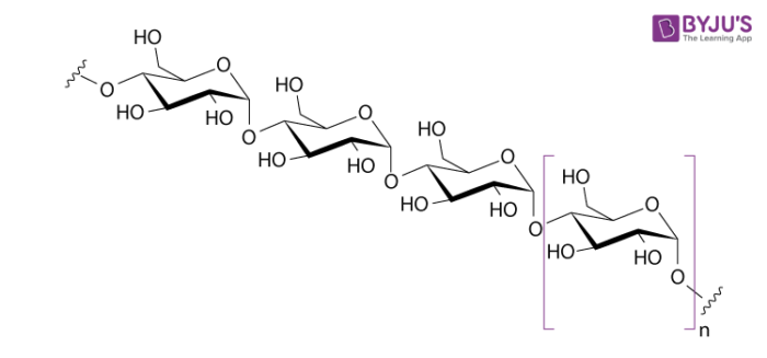 Complex carbohydrates - Definition, Examples, Food lists, videos and ...