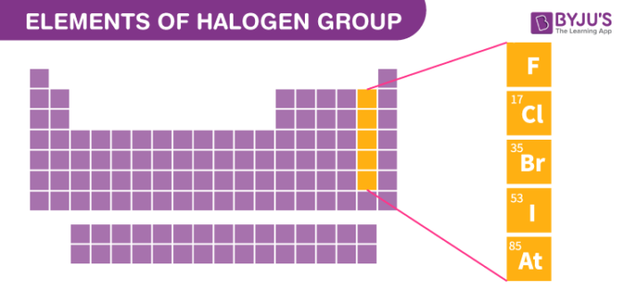 Halogen Group - Elements Of Halogen Group Along With Their Various Properties
