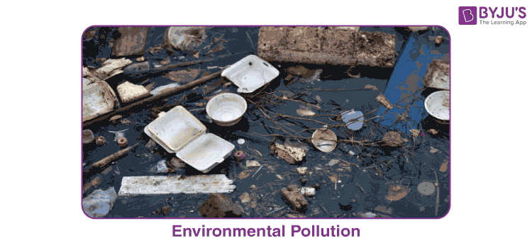 Environmental Pollution | Environmental Sources And Effects of pollution