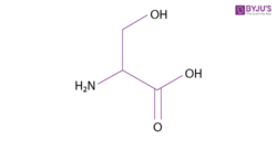 What is Serine? - Functions and Structure of Serine with Examples