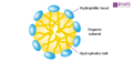 Micelle - Reverse Micelles | Supercells | Applications of Micelle