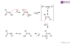 Beckmann Rearrangement - Mechanism of Reaction | Applications