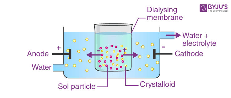 Coagulation Of Colloidal Solutions: Definition of Coagulation ...