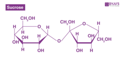 Disaccharides - Definition, Function, Structure & Examples