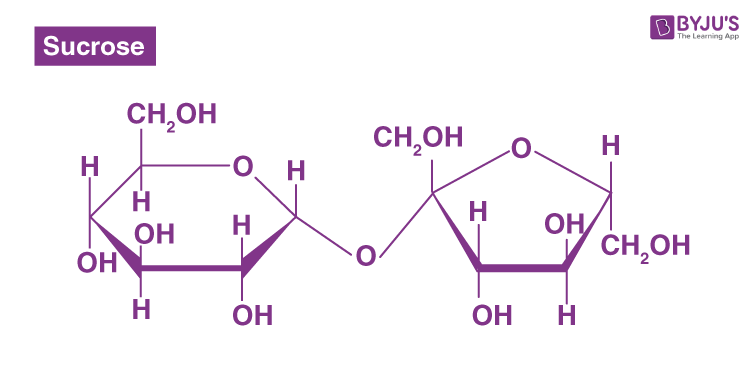 Disaccharides - Definition, Function, Structure & Examples