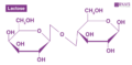 Disaccharides - Definition, Function, Structure & Examples