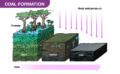 Formation of Coal - Definition, Uses & Fossil Fuels with Videos of ...