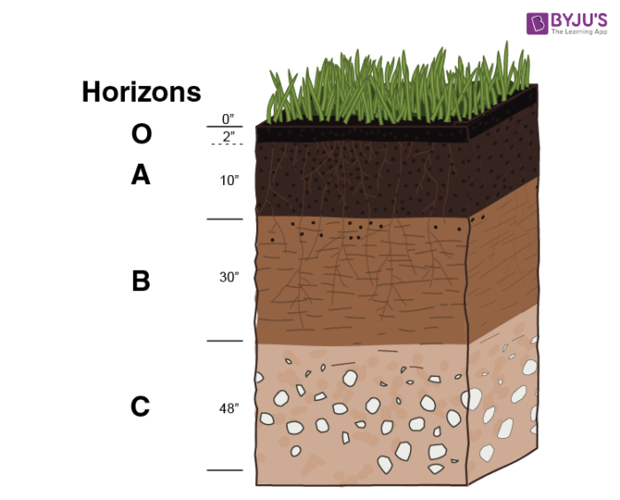 Soil | Properties of Soil | Soil Conservation | Chemistry | Byju's